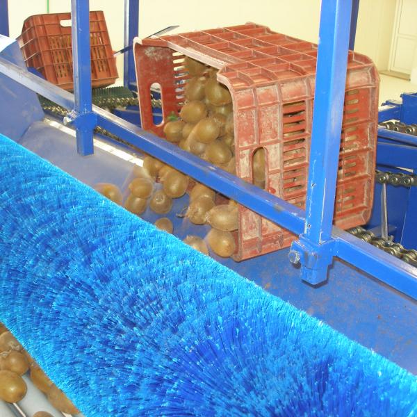 Automatic Box - Crate Tipper Nova_Twist | Novatec Engineering